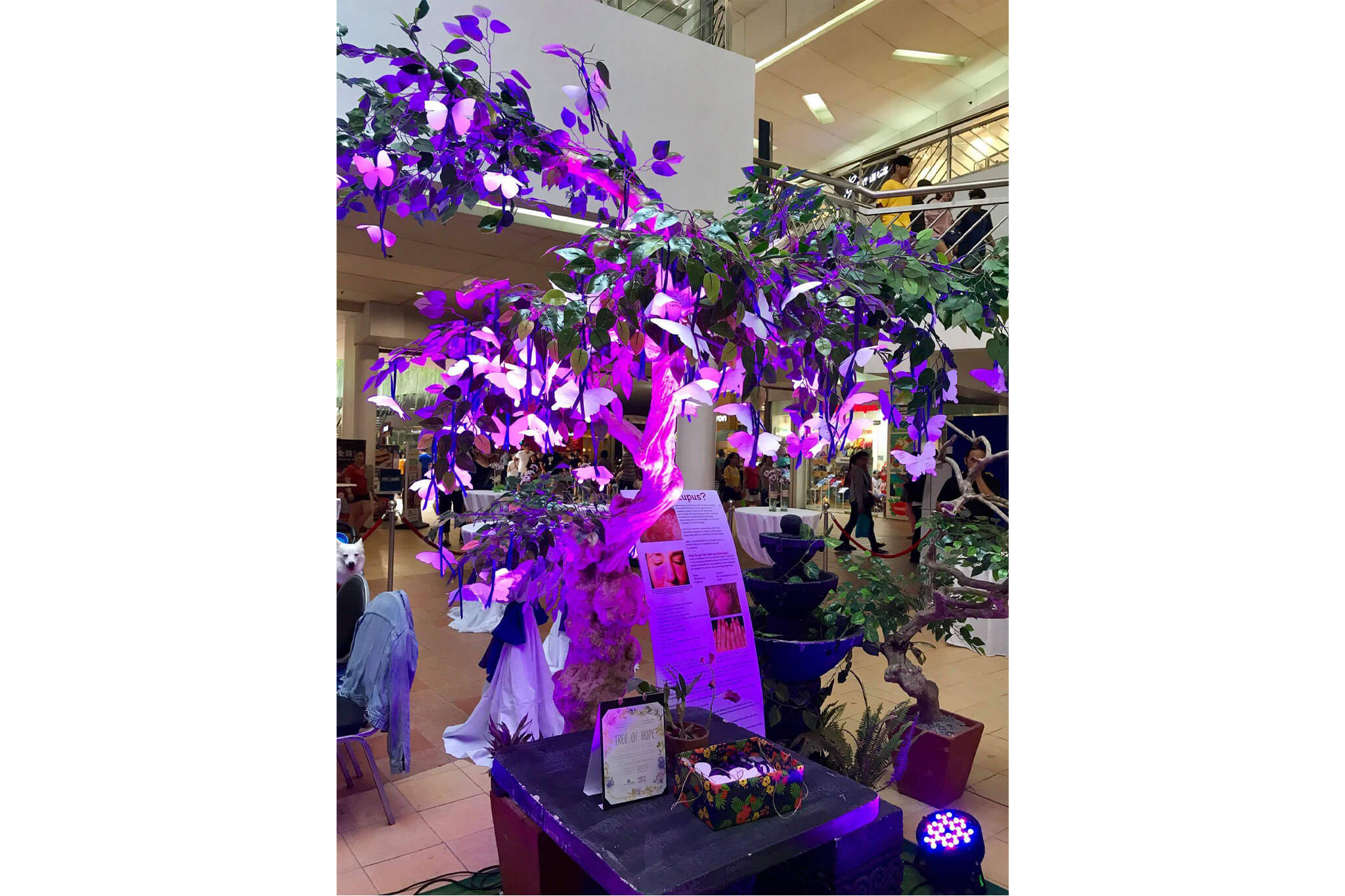 World Lupus Day 2019: Tree of Hope – Hope for Lupus