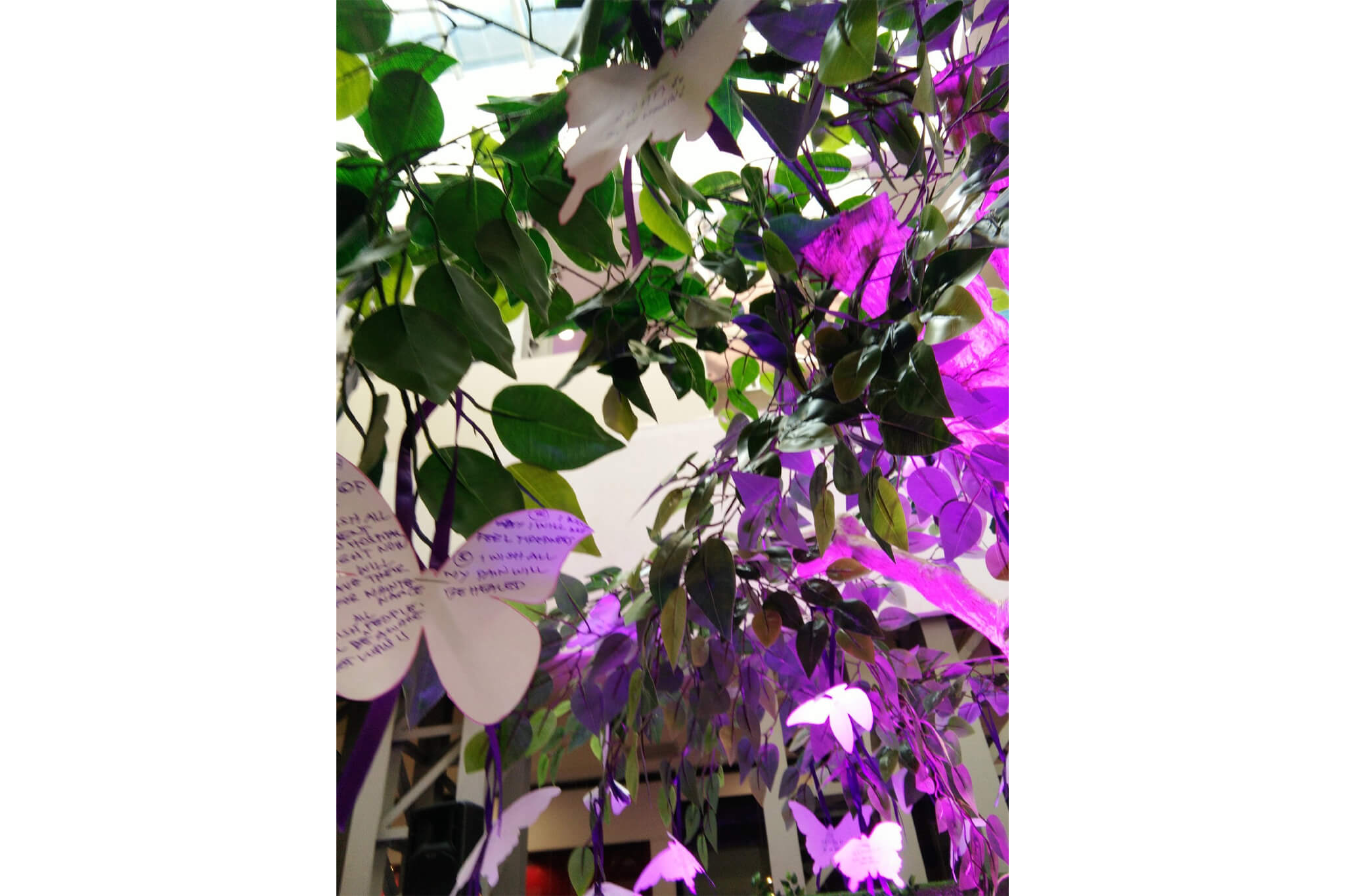 World Lupus Day 2019: Tree of Hope – Hope for Lupus